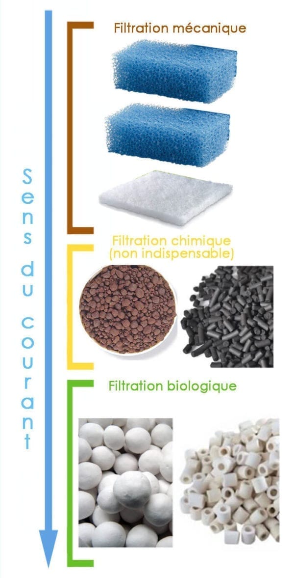 Filtre aquarium : choisir les meilleures masses filtrantes - Guide Aquarium